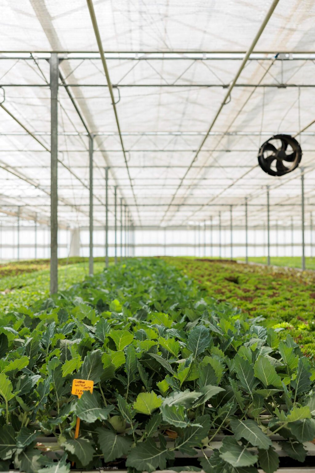 Homepage – IPL Biological