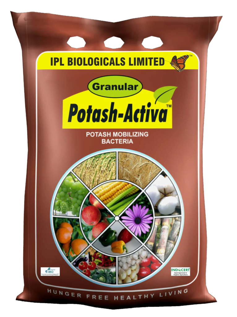 Granular Potash Activa-Kg – IPL Biological